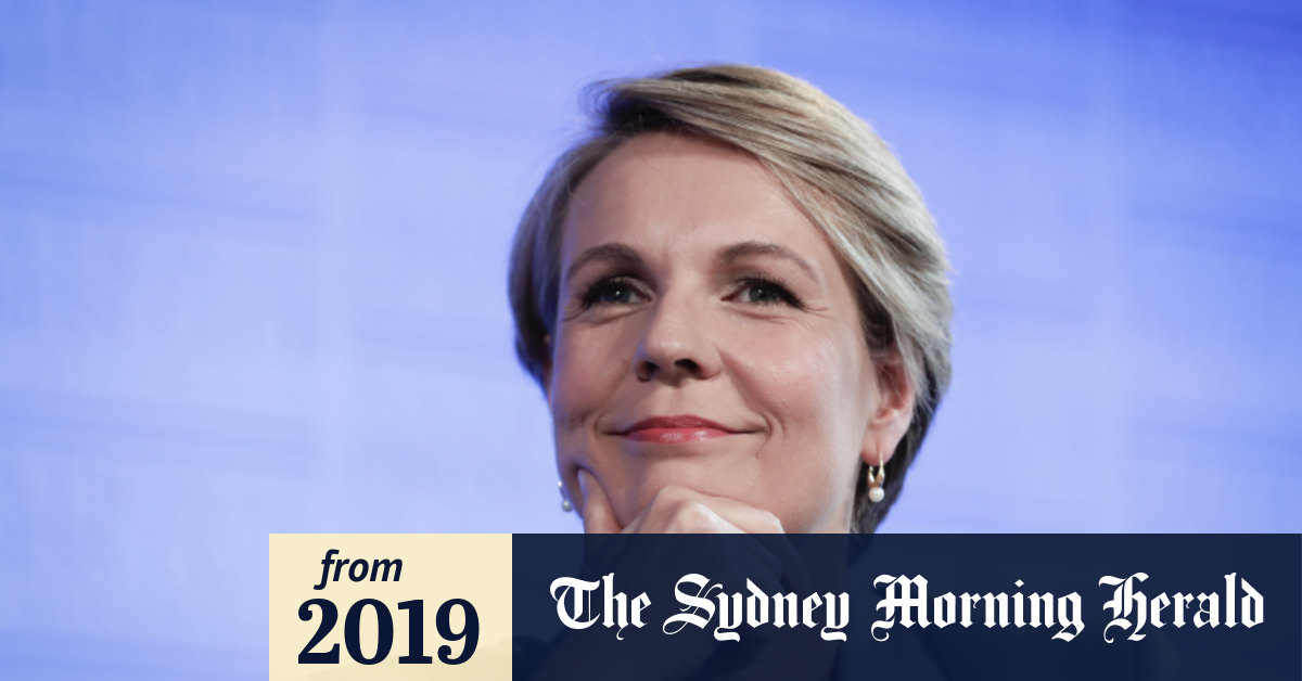 Tanya Plibersek Rules Herself Out Of Race For Labor Leadership As